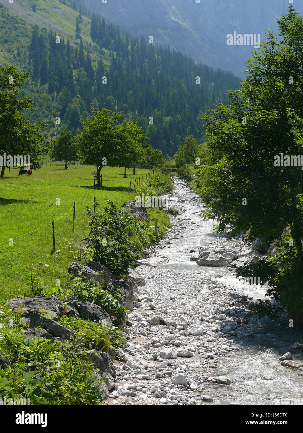 tree trees green summer summerly valley river water stones tree trees ...