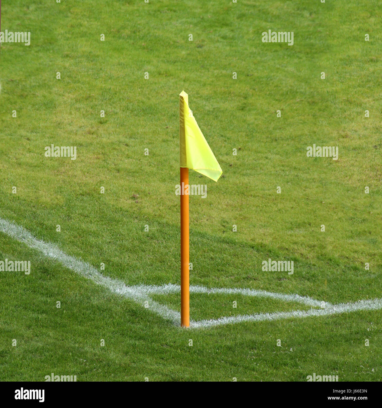 sport sports flag corner outside edge football ground football pitch ...