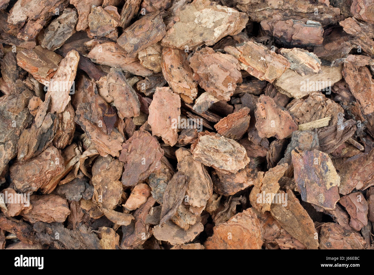 cedar backdrop background texture bark dry dried up barren gardening ...