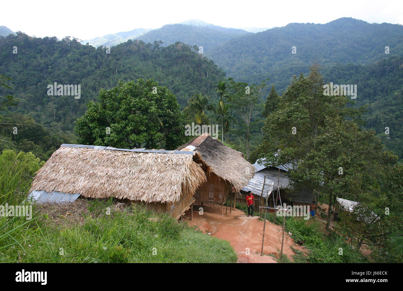 Orang asli village cameron highlands hi-res stock photography and ...