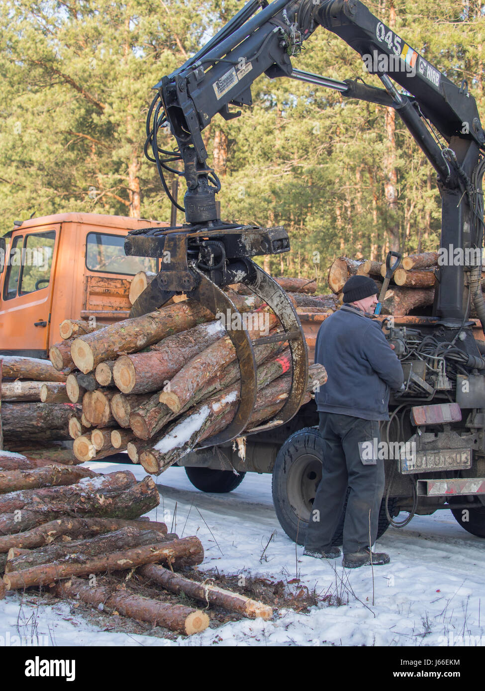 Jozefow, Poland - January 23, 2017: A man loading cut tree trunks on a ...