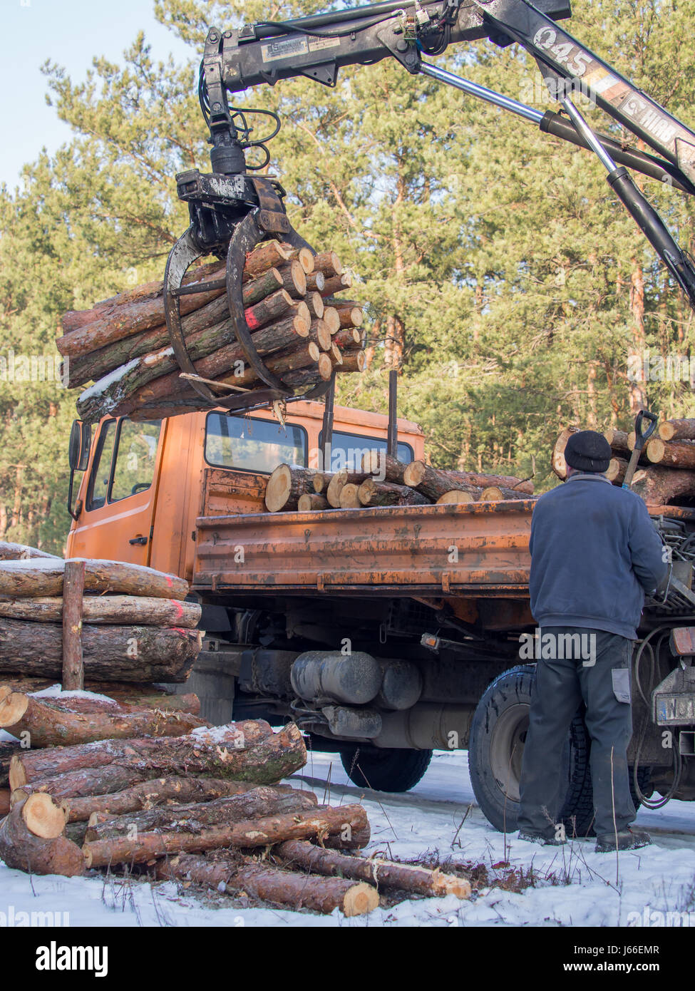 Lorry with trees hi-res stock photography and images - Alamy
