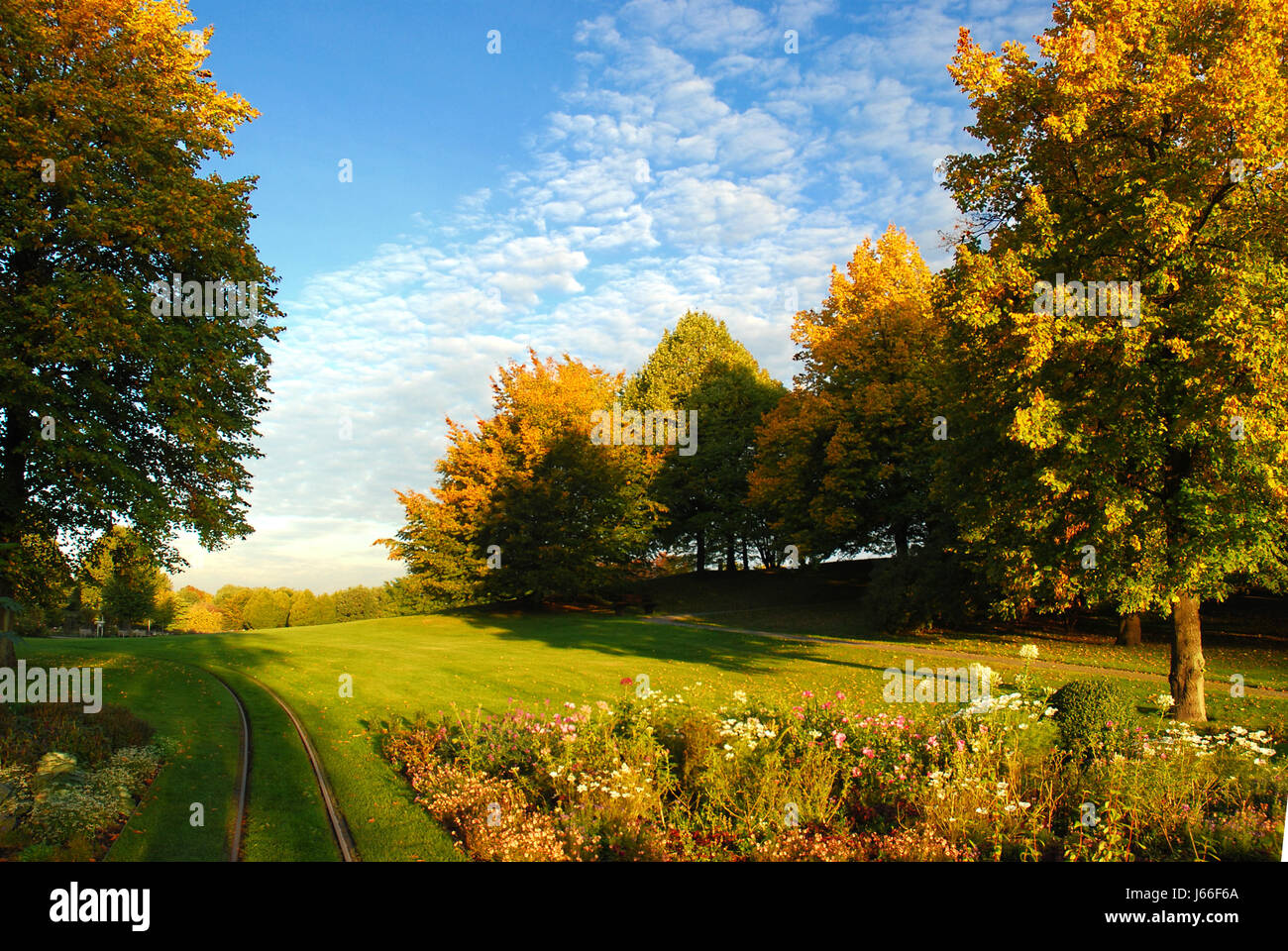 tree trees park route seasons railway rails meadow fall autumn railway ...