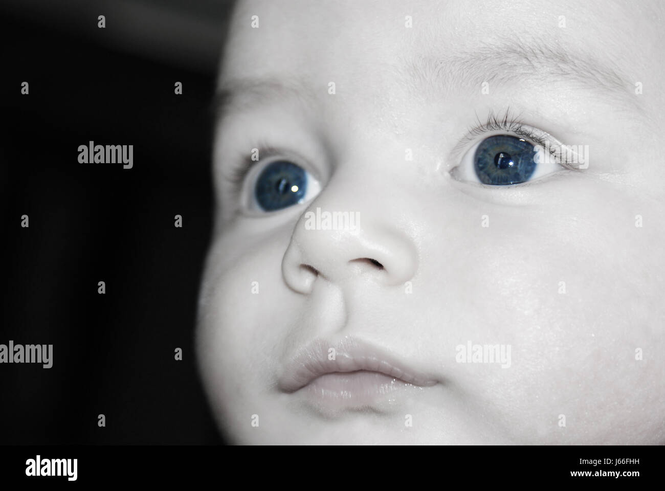 mouth face eye organ eyes look glancing see view looking peeking ...