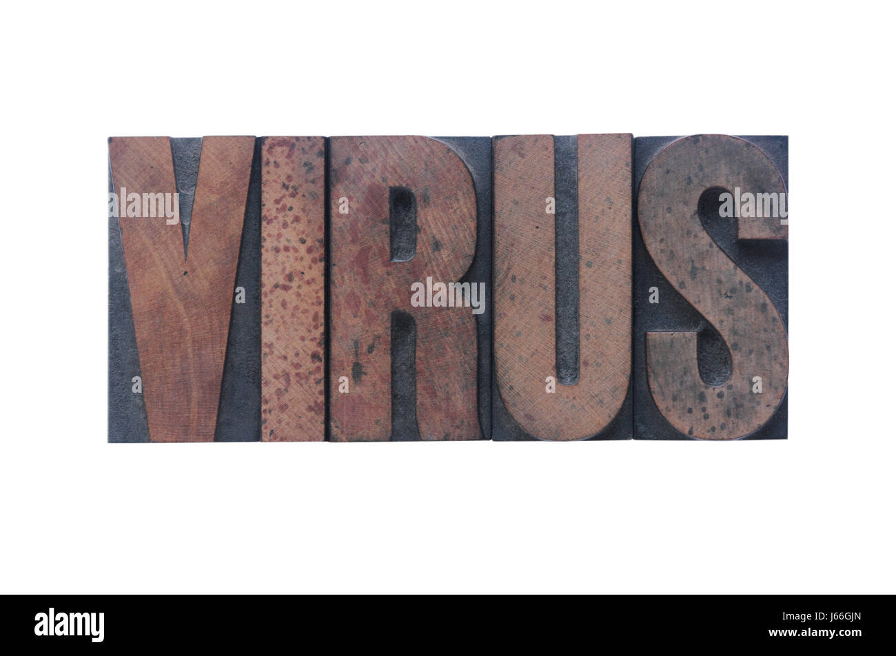 type model build letters word letterpress virus germ pathogen bug ...