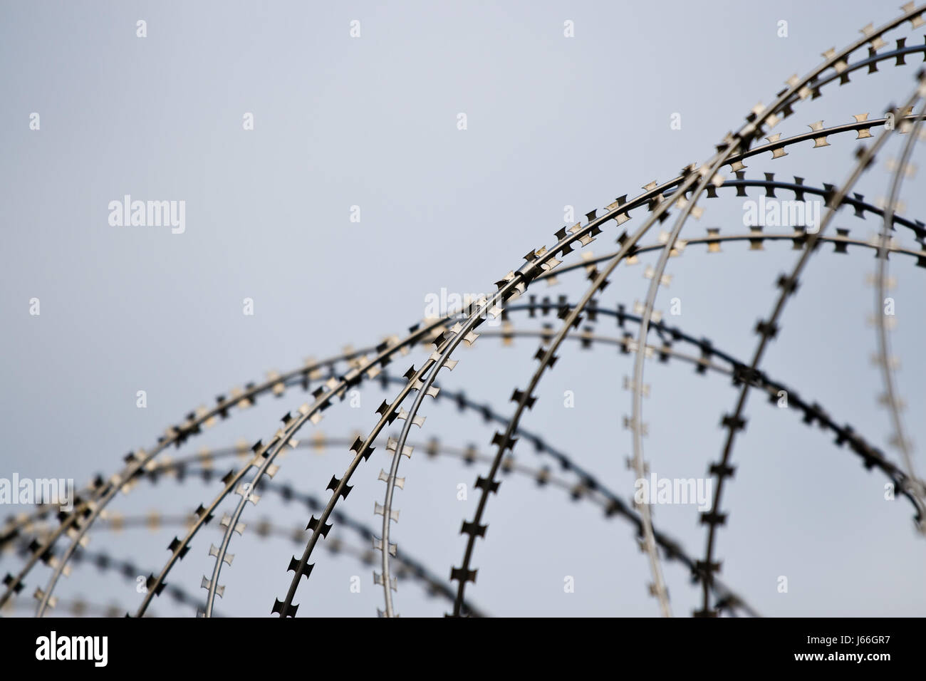 fence barrier barbed wire barbed-wire fence limitation security safety ...