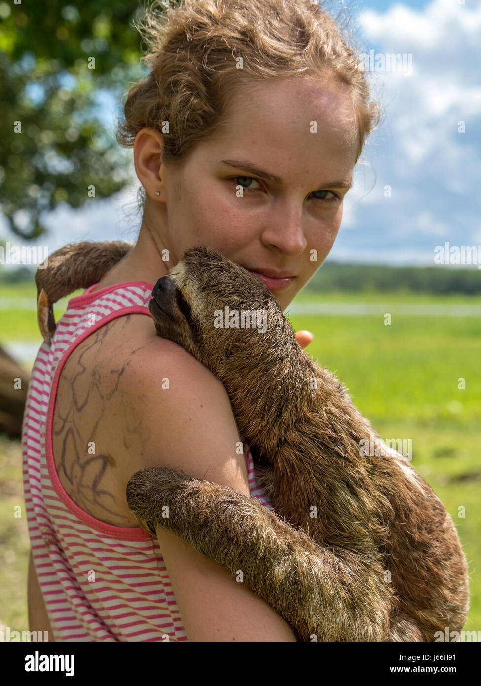 Portrait of a young girl with a sloth hanging on her shoulder. A sloth ...