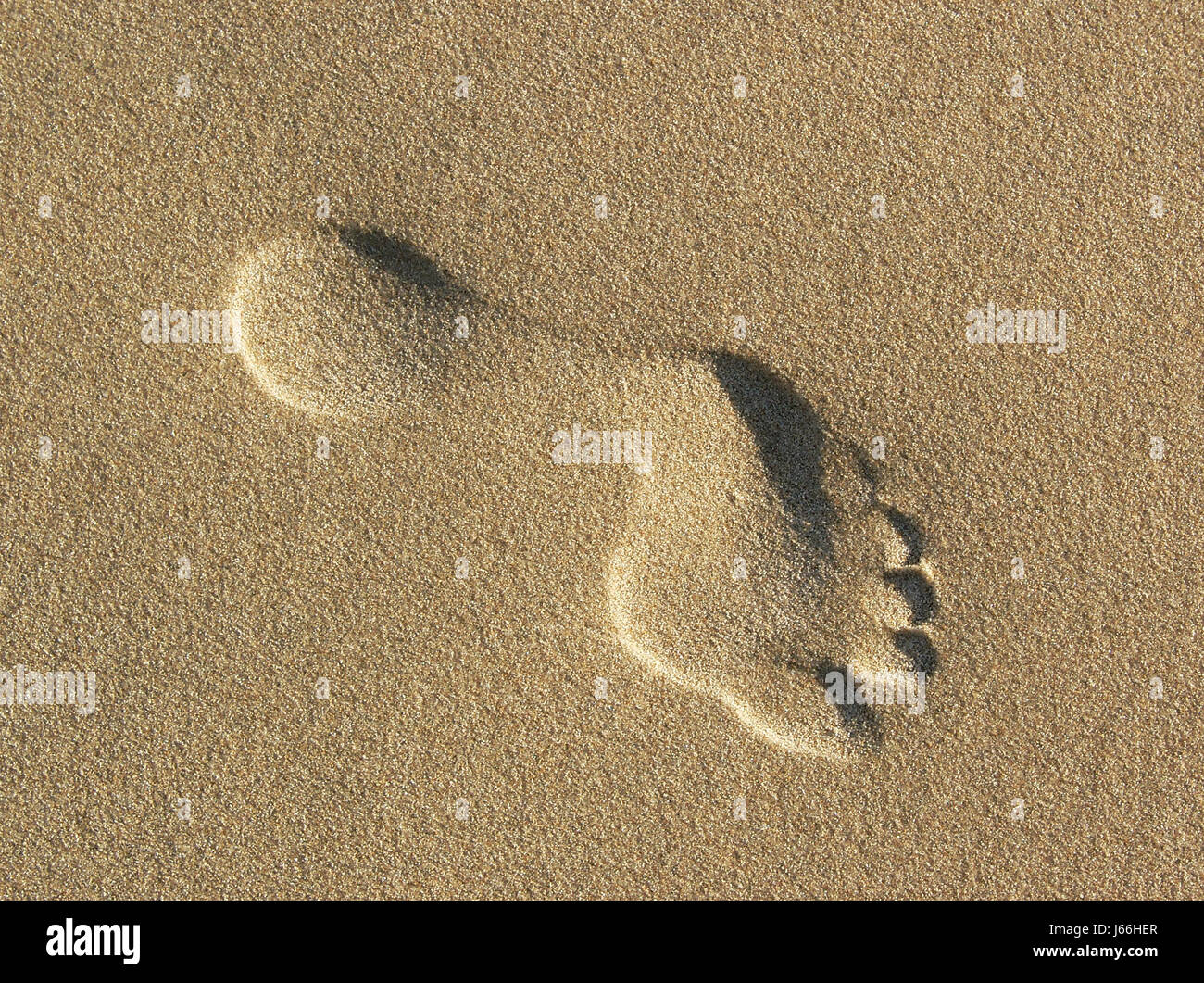 barefoot track footmark footprint tracks footprints footmarks holiday ...