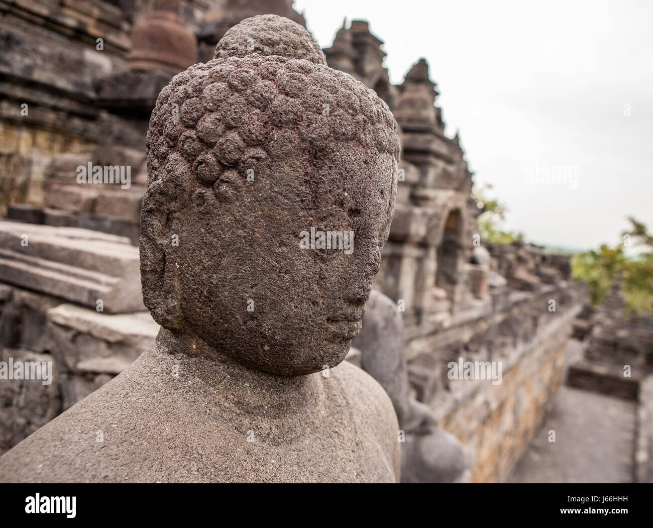 Buddha statues at the top of Borobudur Temple in Indonesia. The island ...