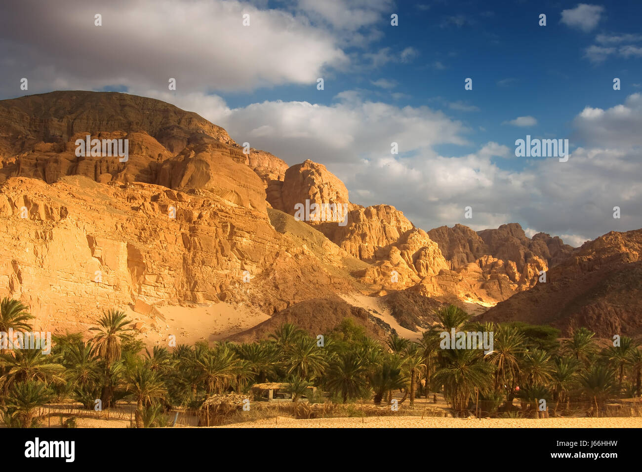 desert wasteland africa oasis egypt sandy desert desert wasteland ...