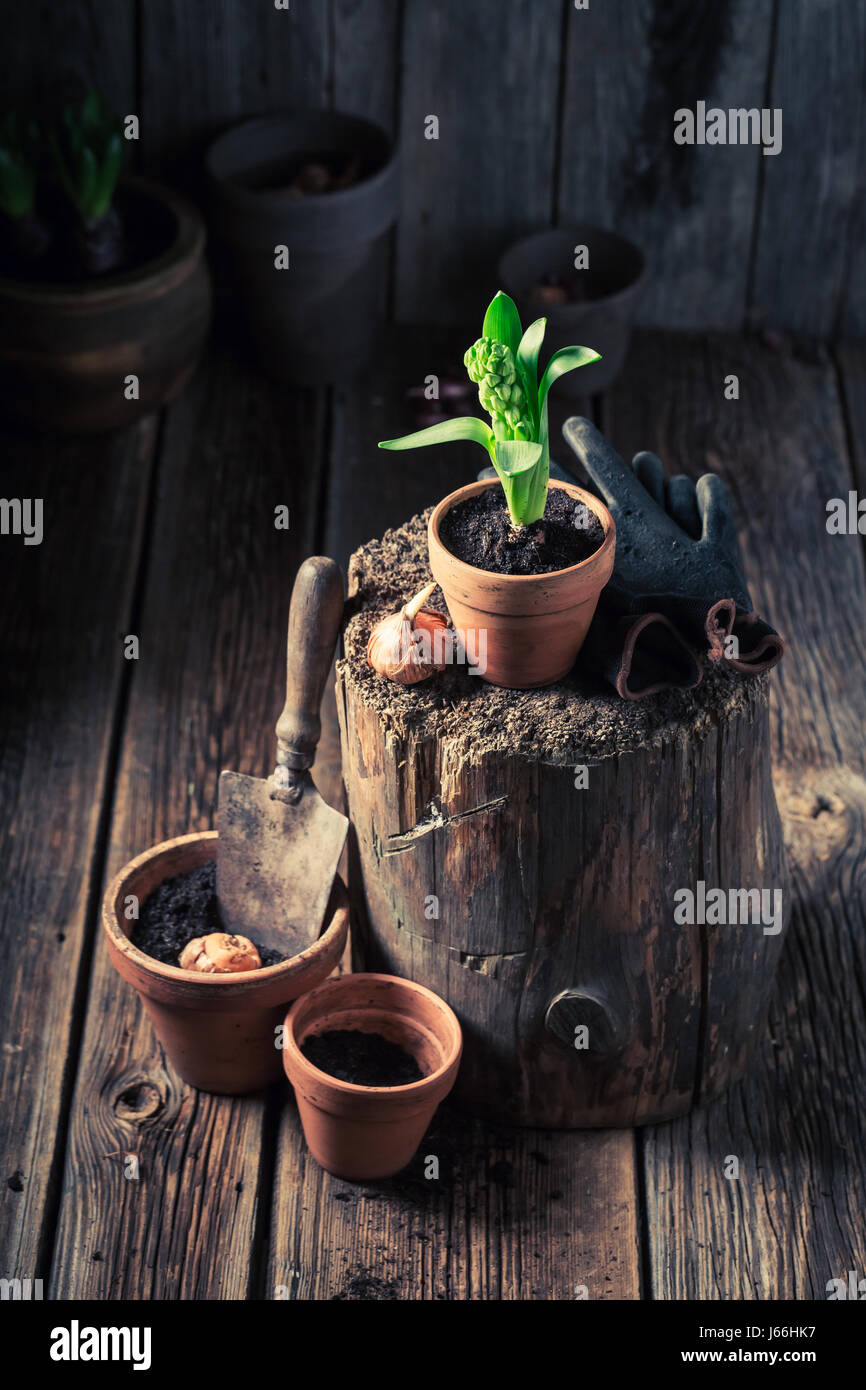 Old wooden green red hi-res stock photography and images - Alamy