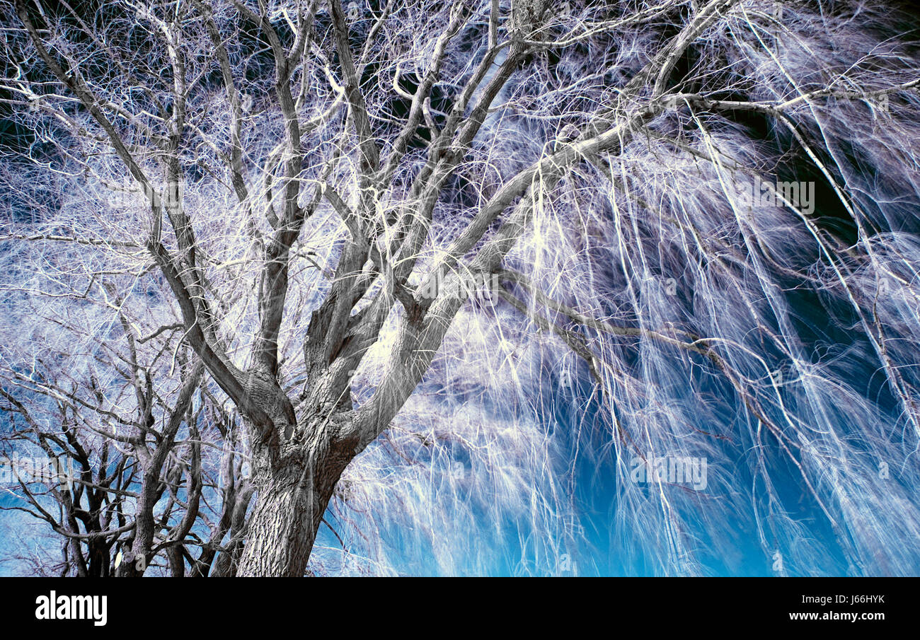 Invisible sky hi-res stock photography and images - Alamy