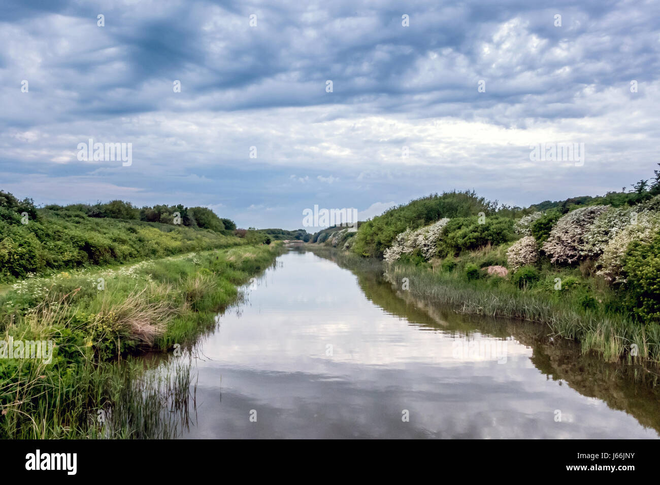 The Royal Military Canal in Kent Stock Photo - Alamy