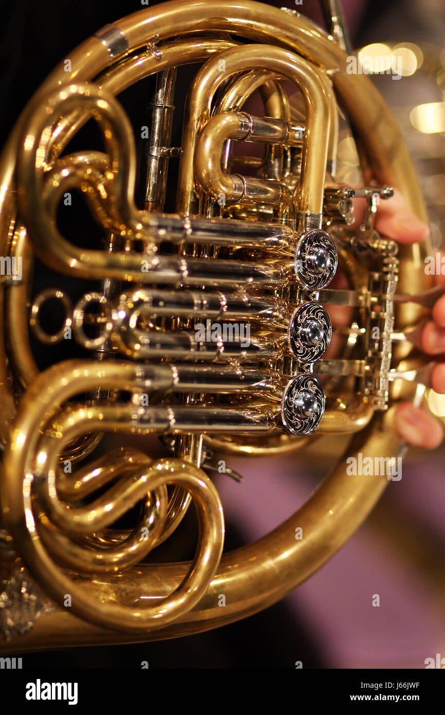 music musical instrument horn classical musician measure instrument ...