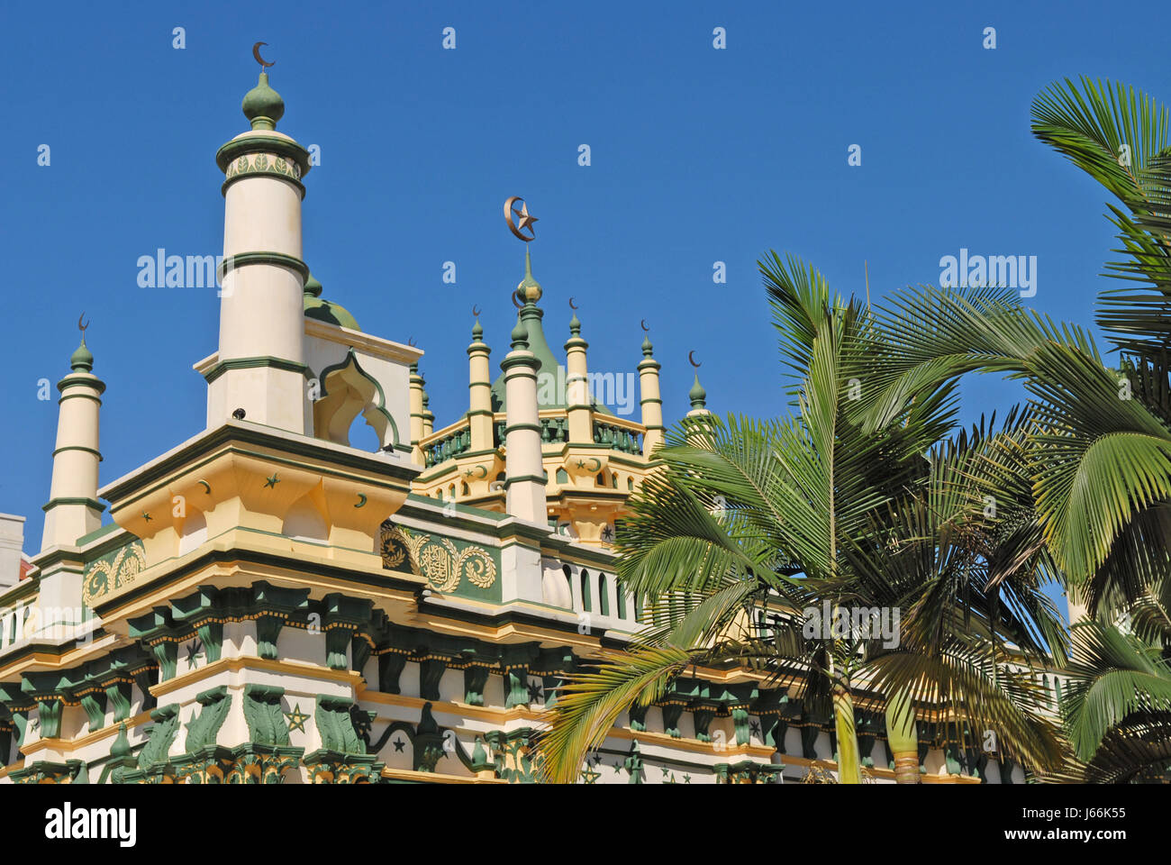 palm tree mosque arabian india sign signal blue tower belief monument ...