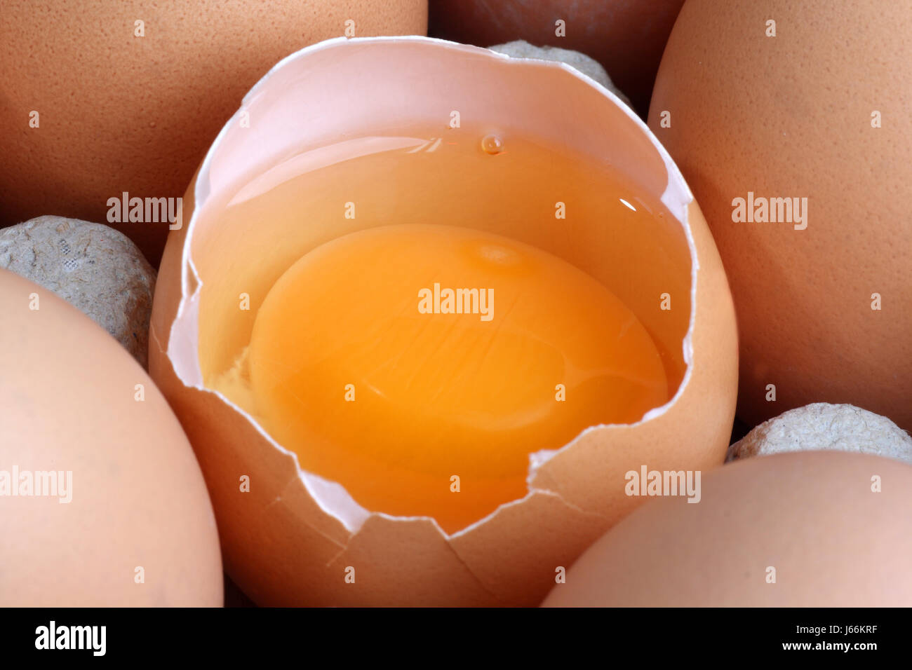 Eierdotter hi-res stock photography and images - Alamy