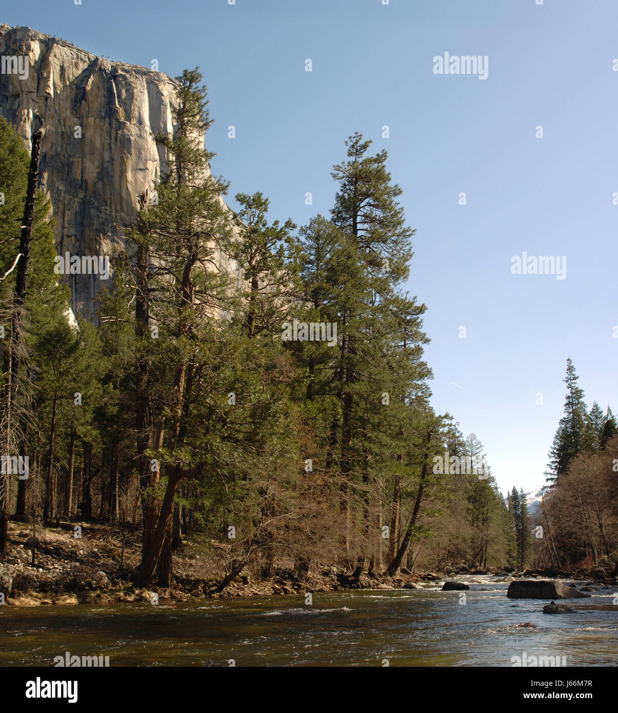 tree trees valley river water nature tree trees pine valley cliff ...