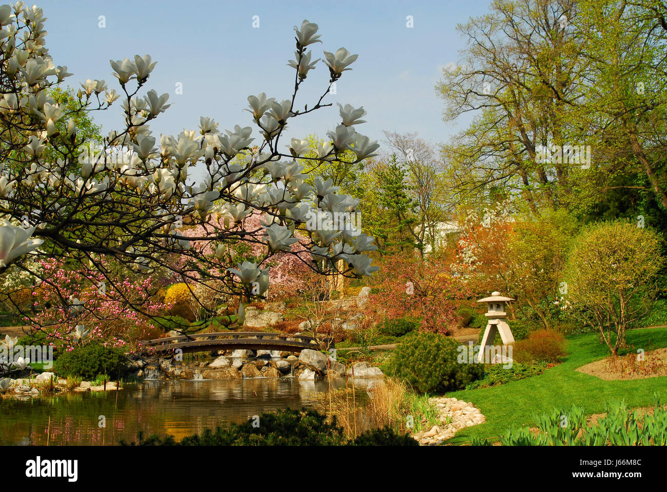 tree trees bridge flower flowers plant bushes waterfall spring water ...