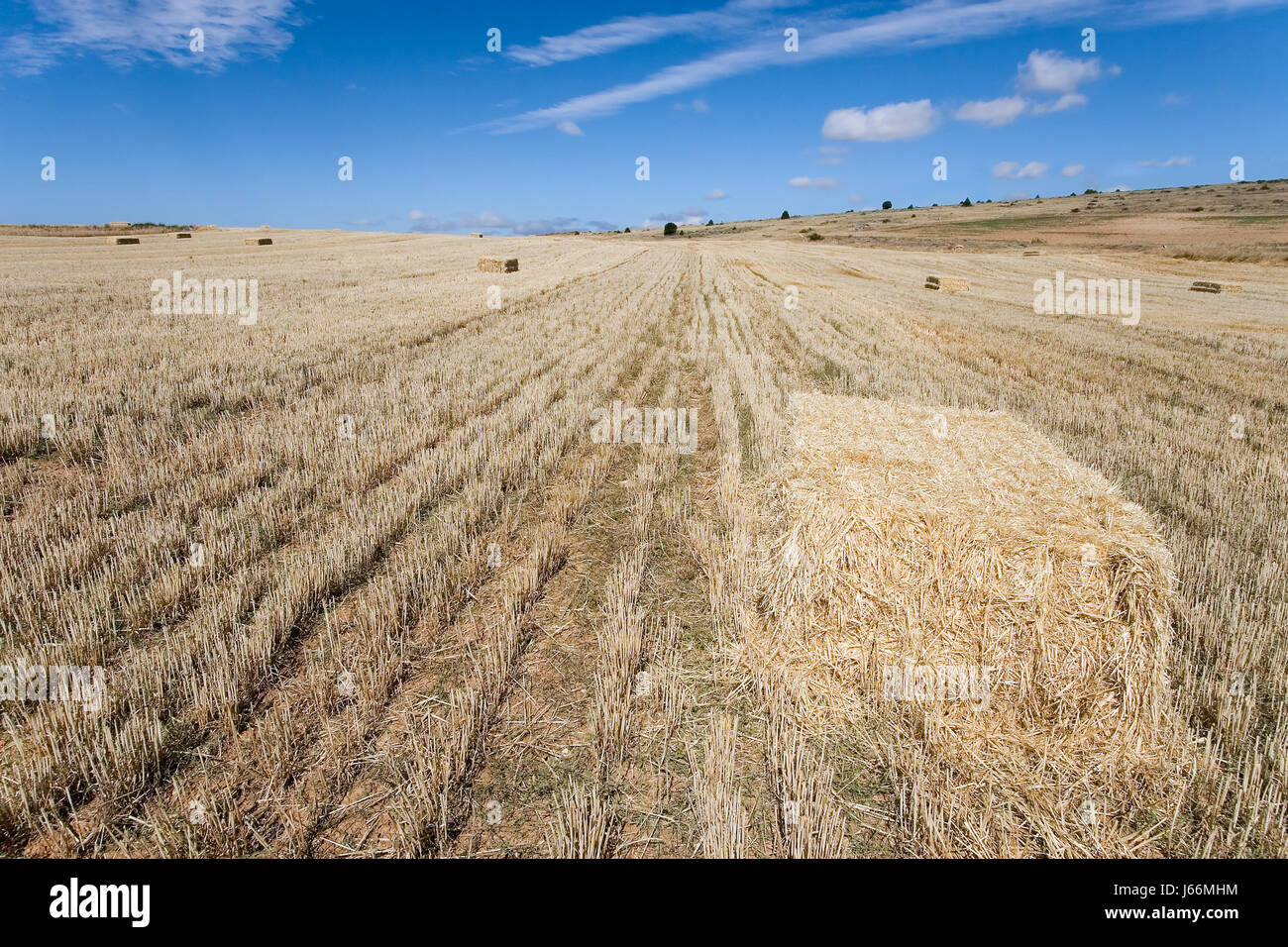 agriculture farming spain wheat europe outdoor day during the day ...