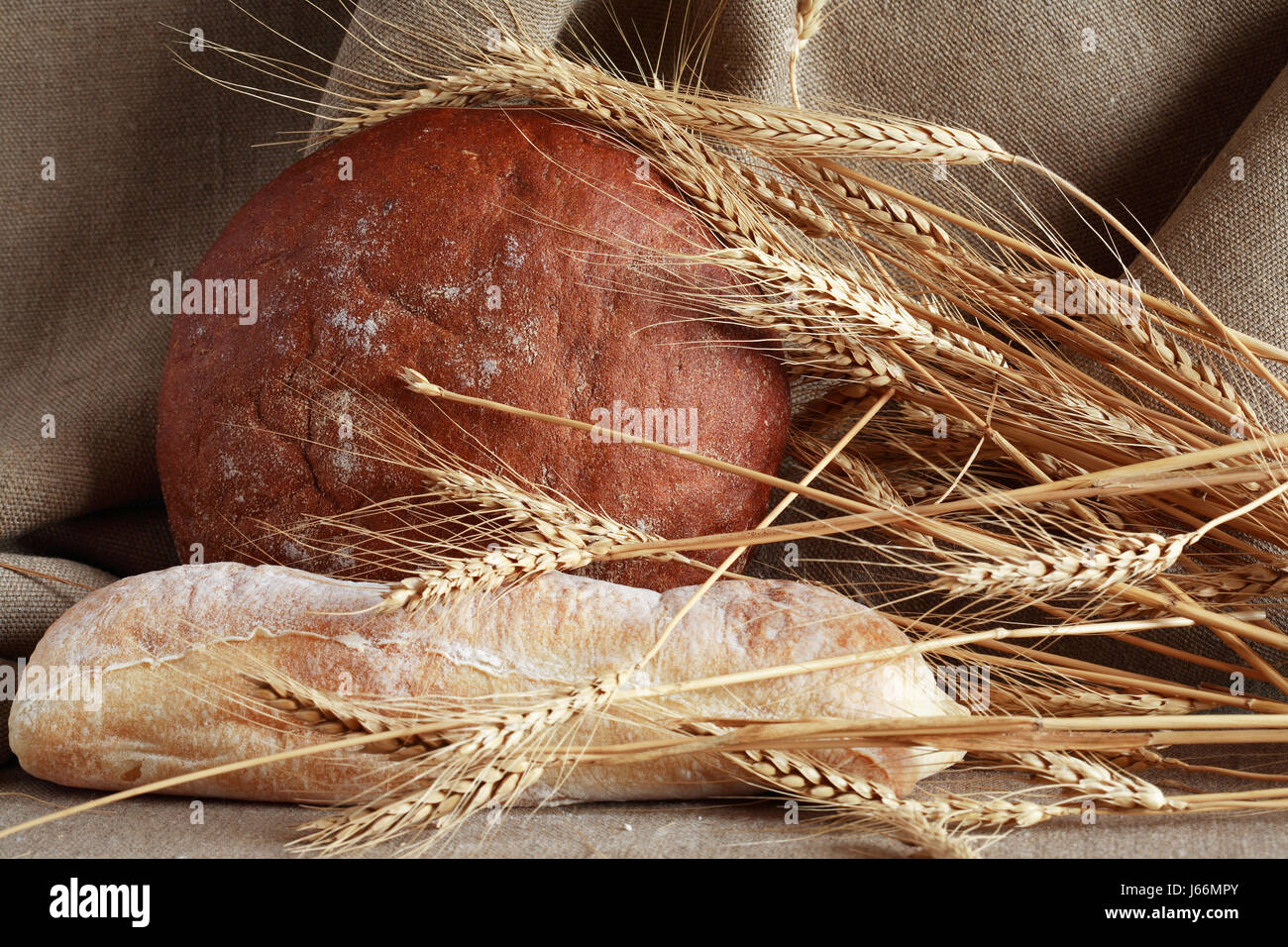 Newly baked bread and ears of wheat on canvas background Stock Photo ...
