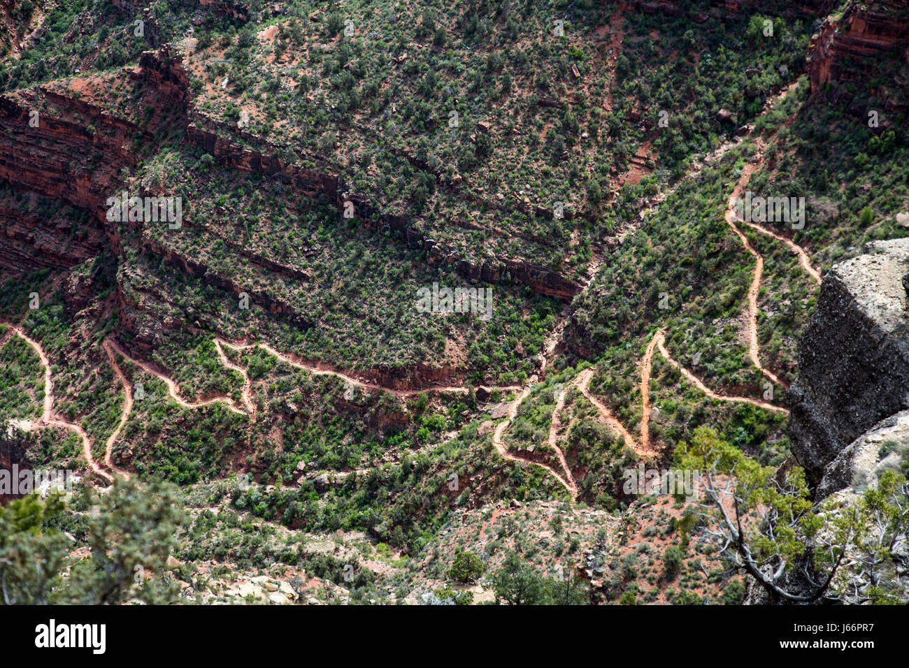 Grand canyon arizona switchback hi-res stock photography and images - Alamy