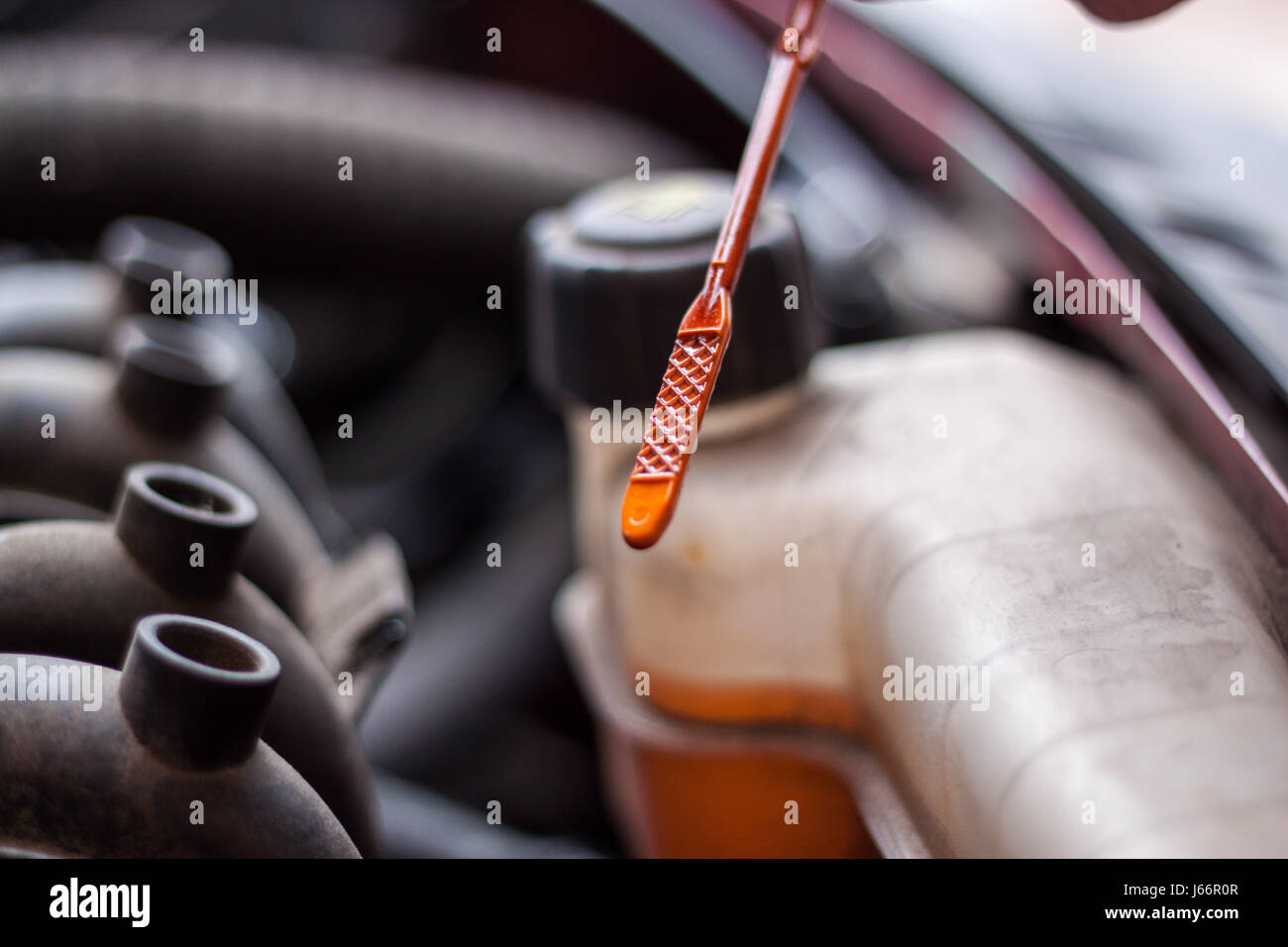 Mechanic checks the oil level in the engine, before pouring in the ...