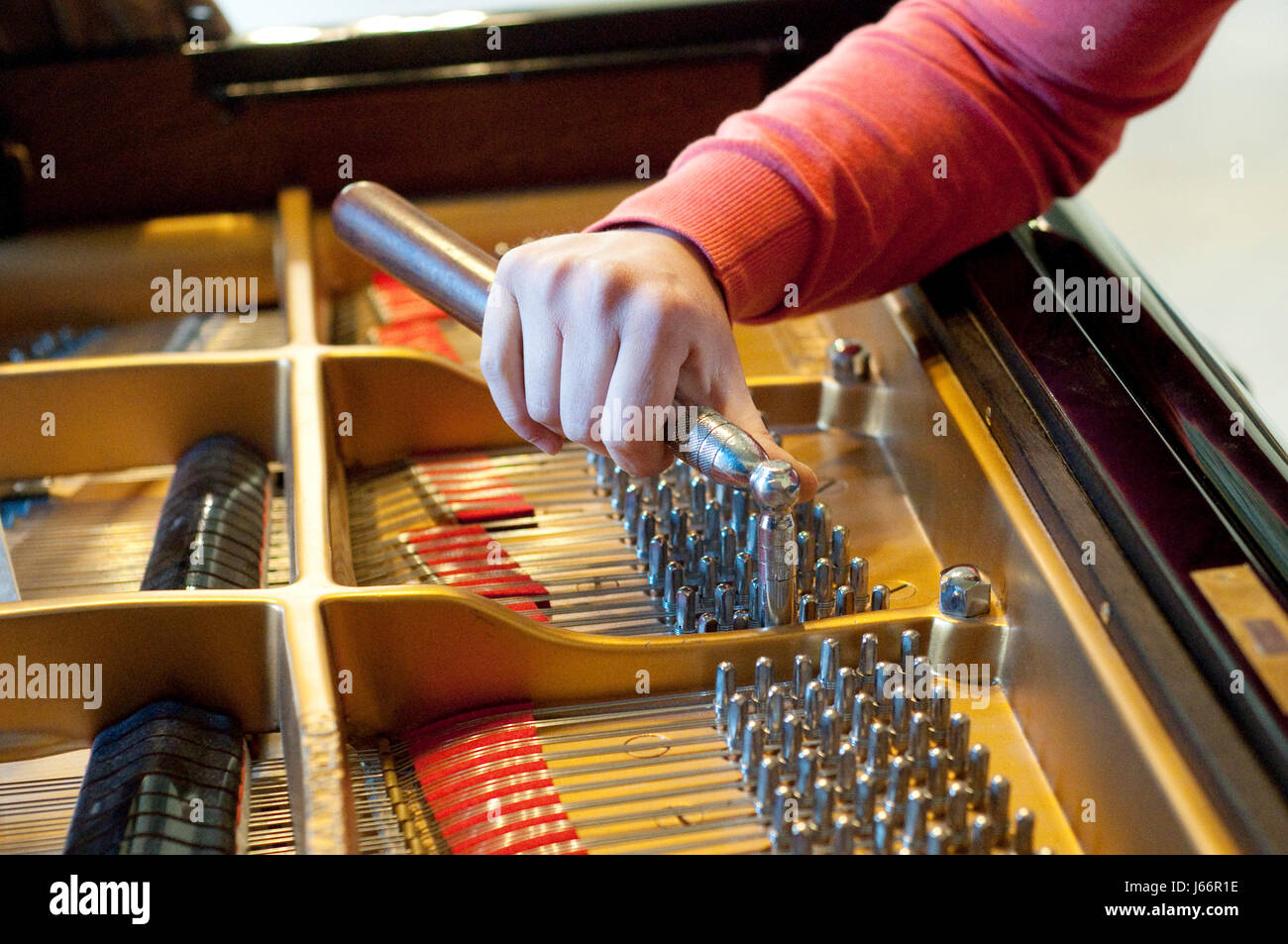 Hand of a Man Piano Tuner Tuning a Grand Piano Stock Photo - Alamy