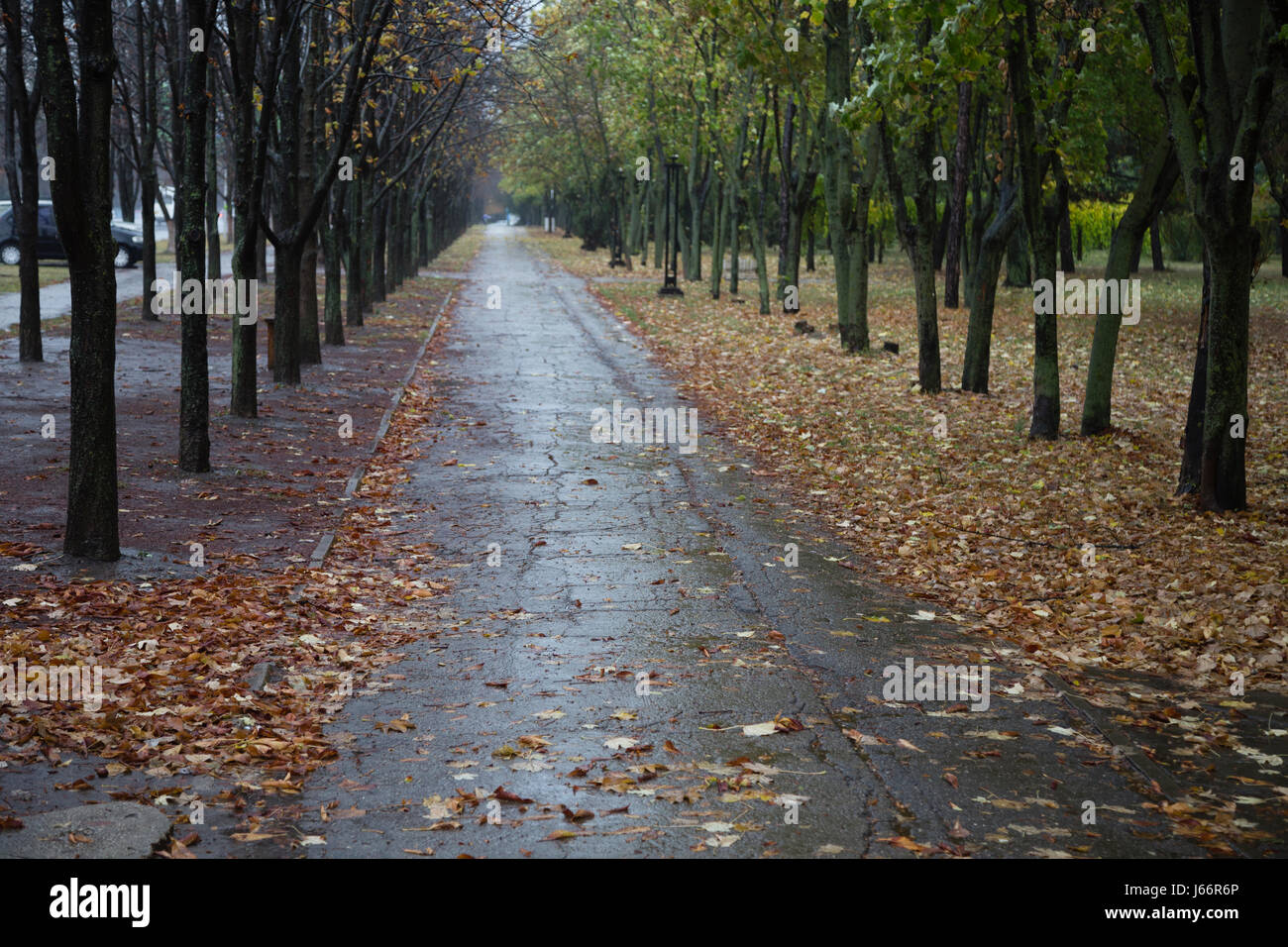 Street of a city. There is a city alley Stock Photo - Alamy