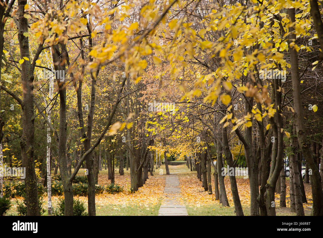 Alley in a city hi-res stock photography and images - Alamy