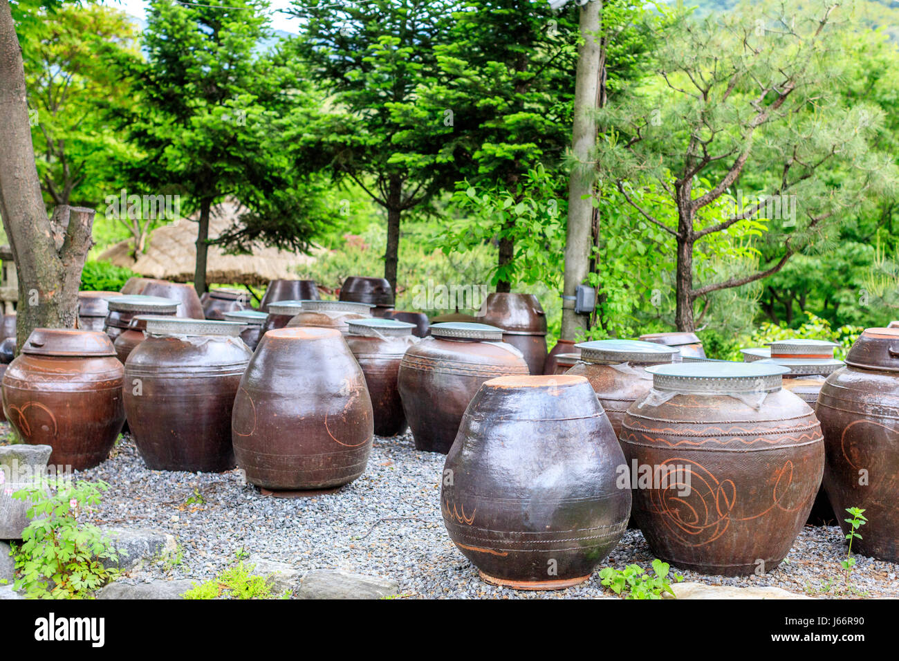 Beautiful traditional korean jar hi-res stock photography and images ...