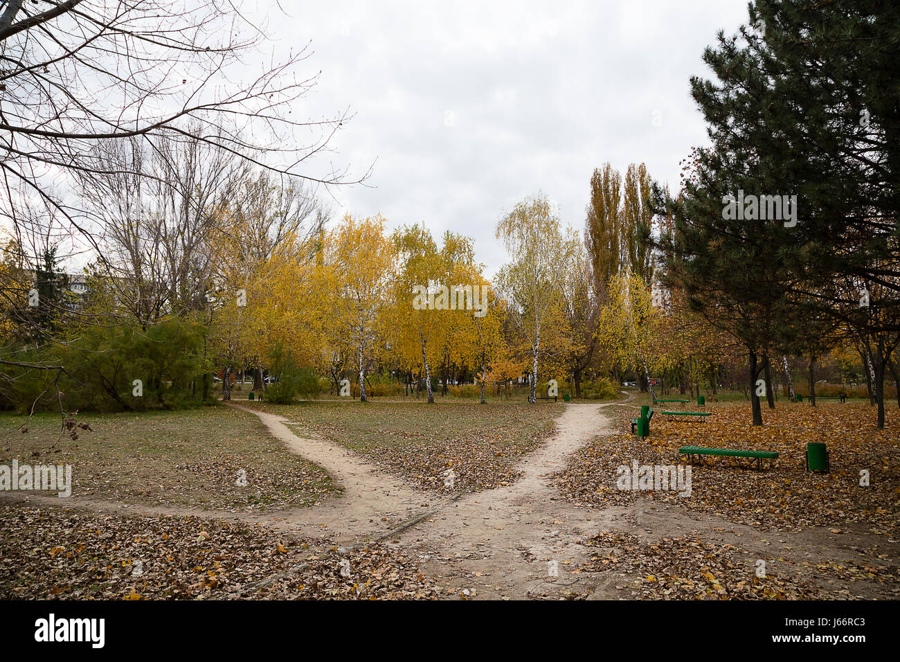 Parting of the ways hi-res stock photography and images - Alamy