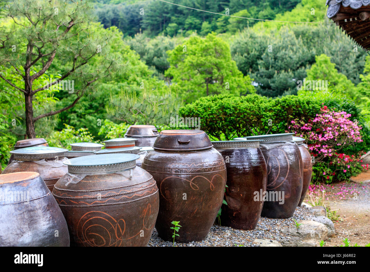 Beautiful traditional korean jar hi-res stock photography and images ...