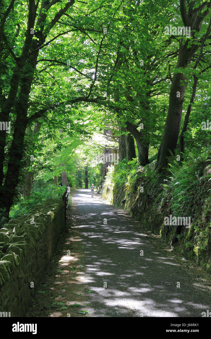 Donegal bank walk hi-res stock photography and images - Alamy