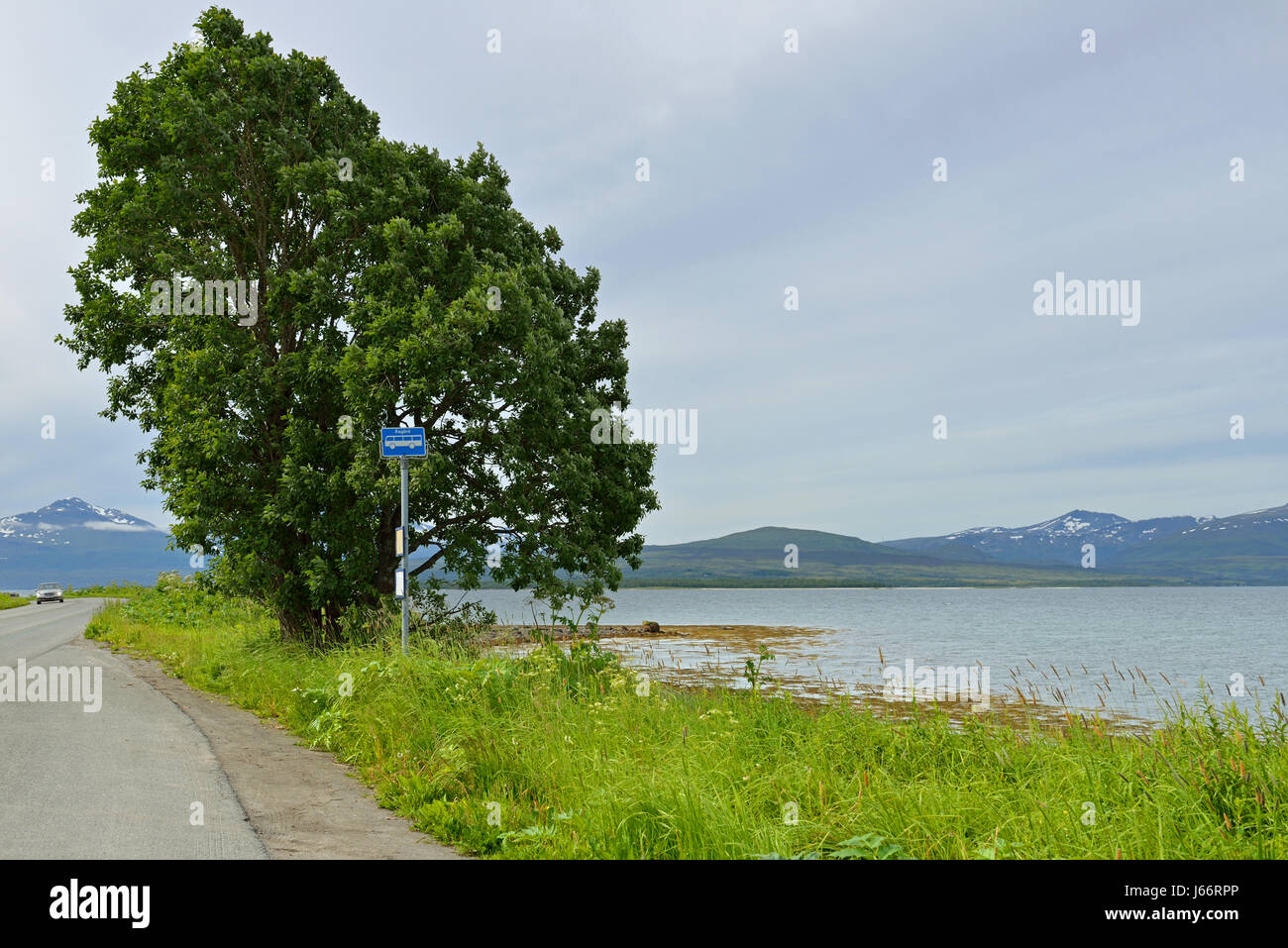 Bus stop in Tromso, Norway Stock Photo - Alamy