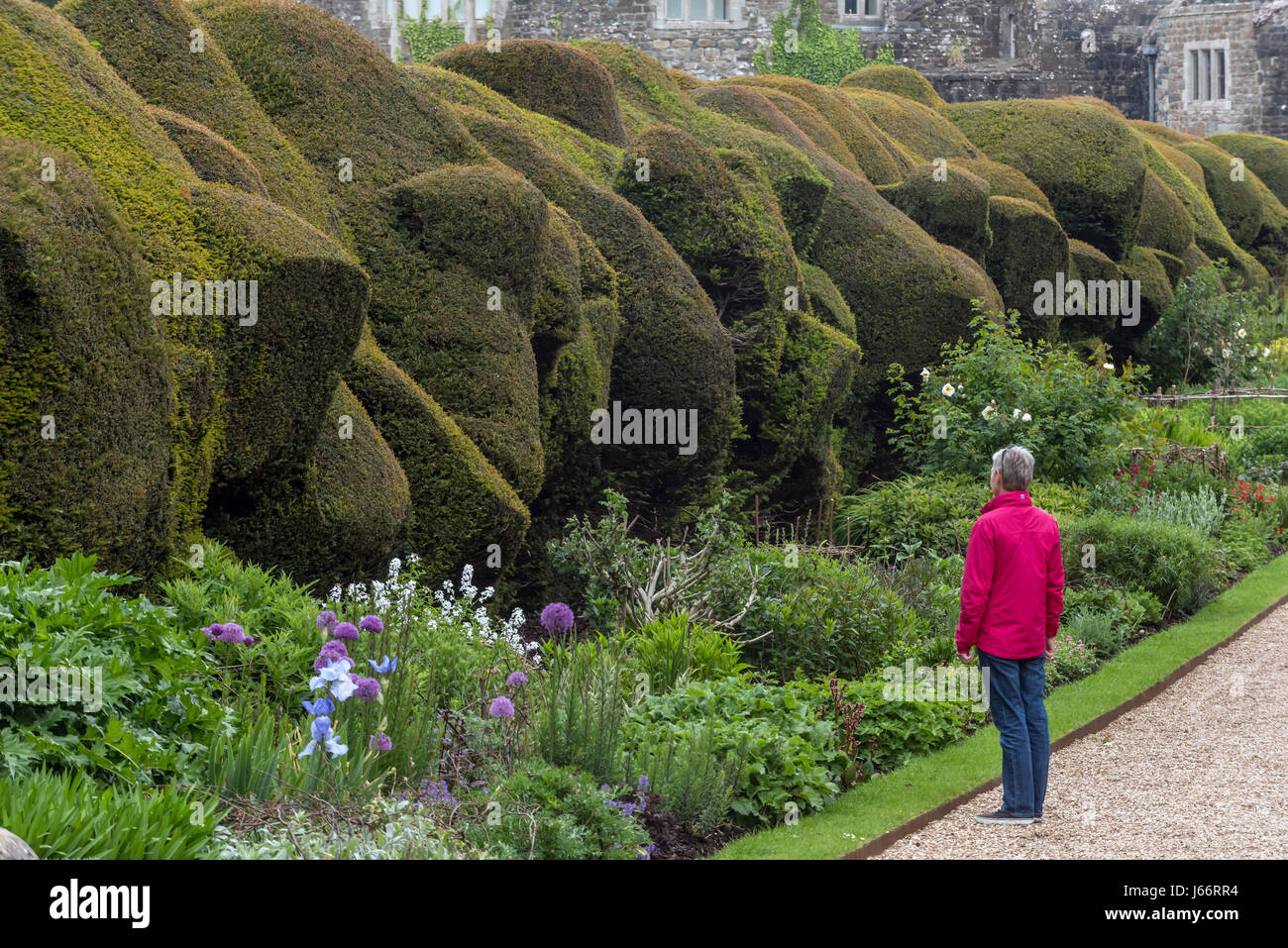 Walmer Castle in Kent Stock Photo - Alamy