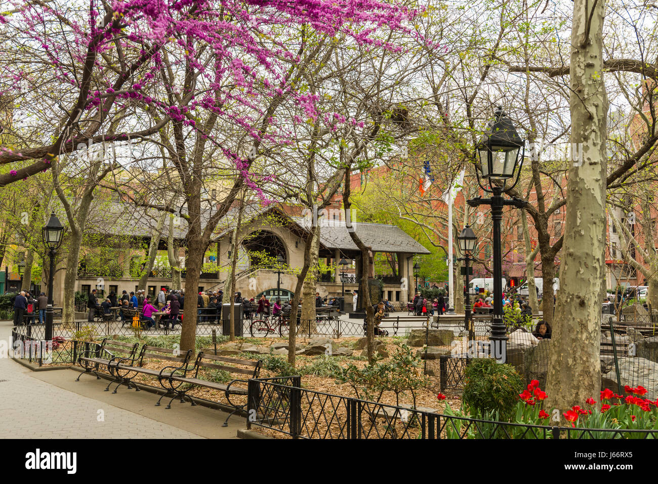 Columbus Park in Spring with Cherry Blossom in bloom, Chinatown ...