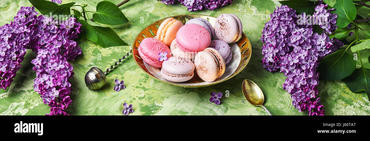 long banner with macarons and branch of lilac blossoms Stock Photo - Alamy