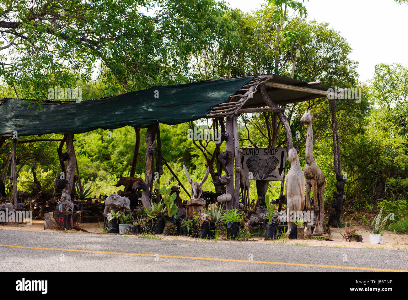Roadside selling in Mpumalanga, South Africa Stock Photo - Alamy