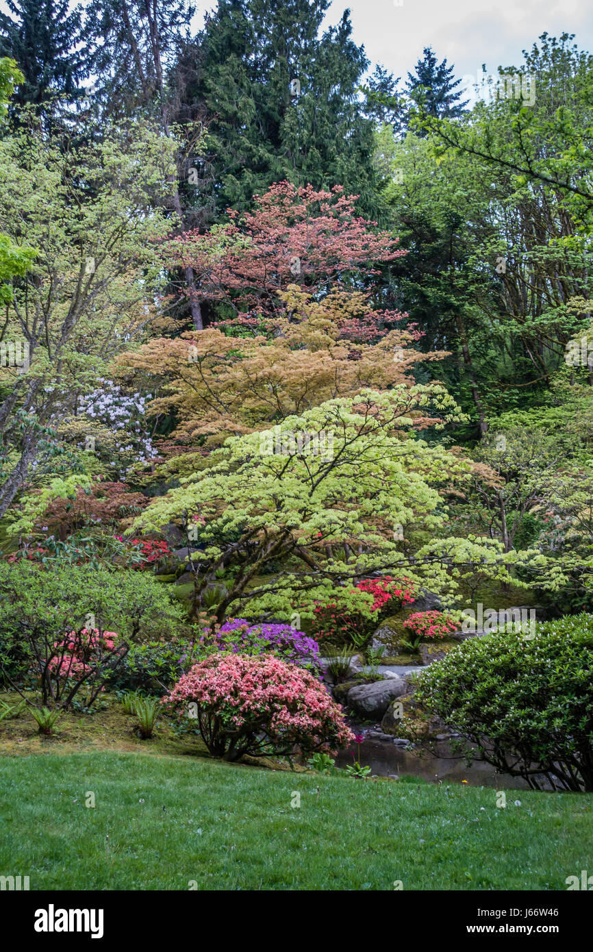 Flowering trees in this Seattle garden create rising levels of color ...
