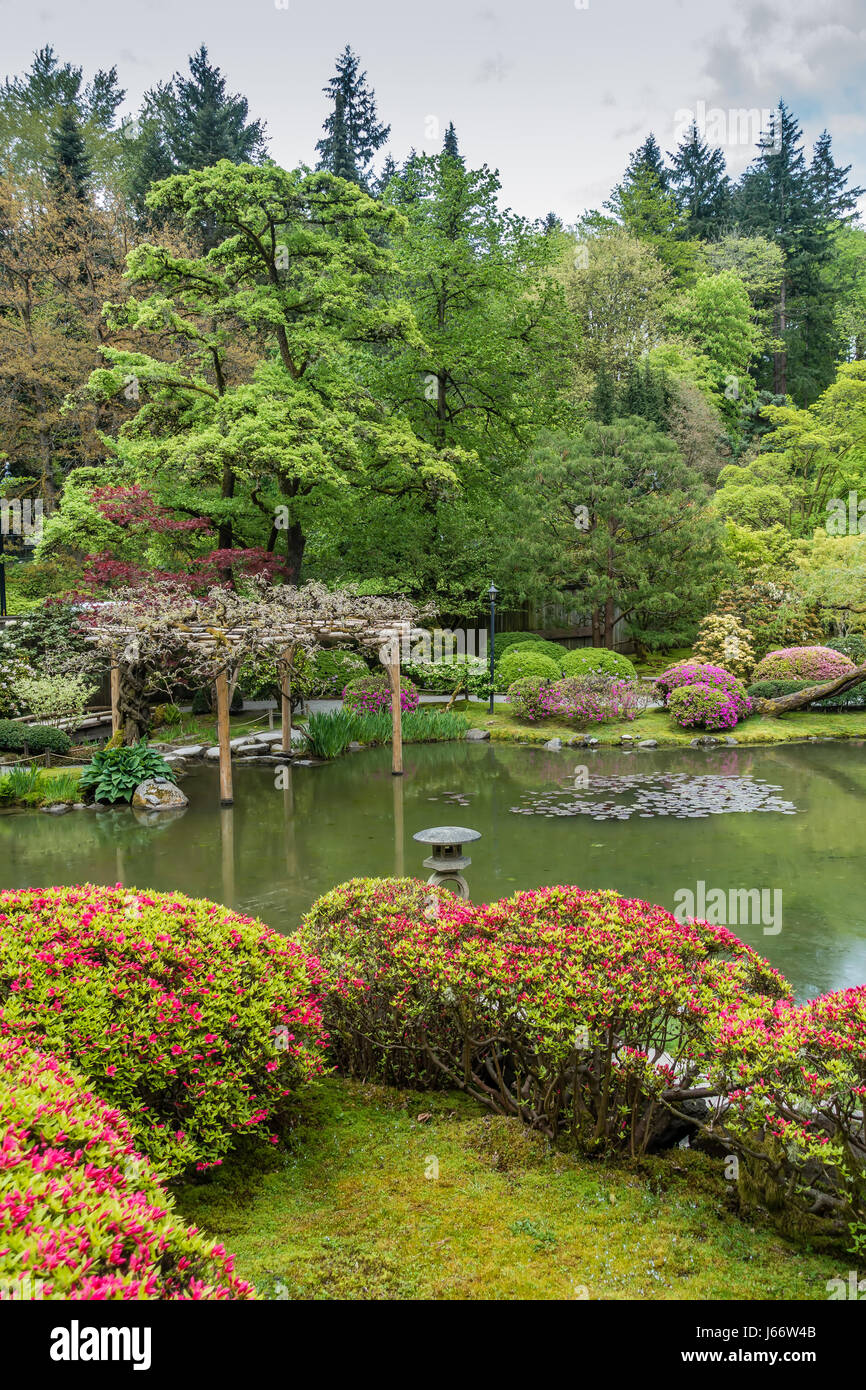 A view of plants and flowers in Seattle, Washington Stock Photo - Alamy