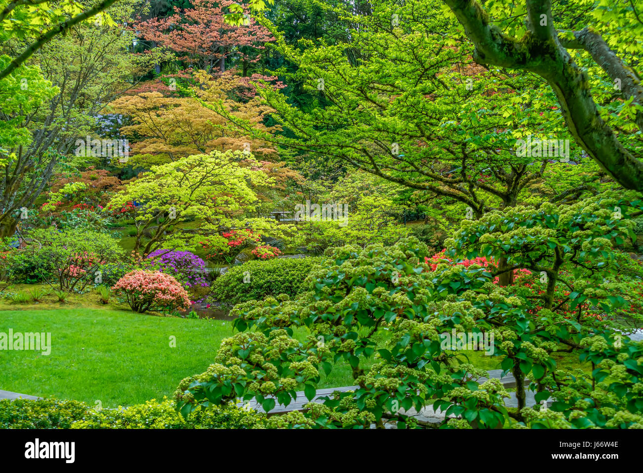 Rich colors hi-res stock photography and images - Alamy