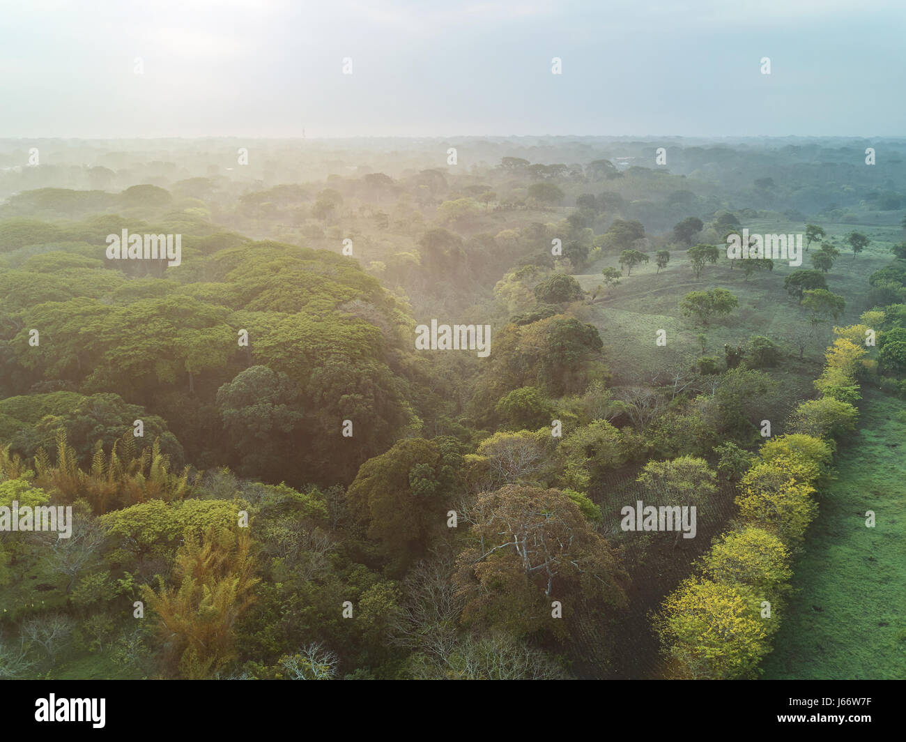 Top view rain hi-res stock photography and images - Alamy
