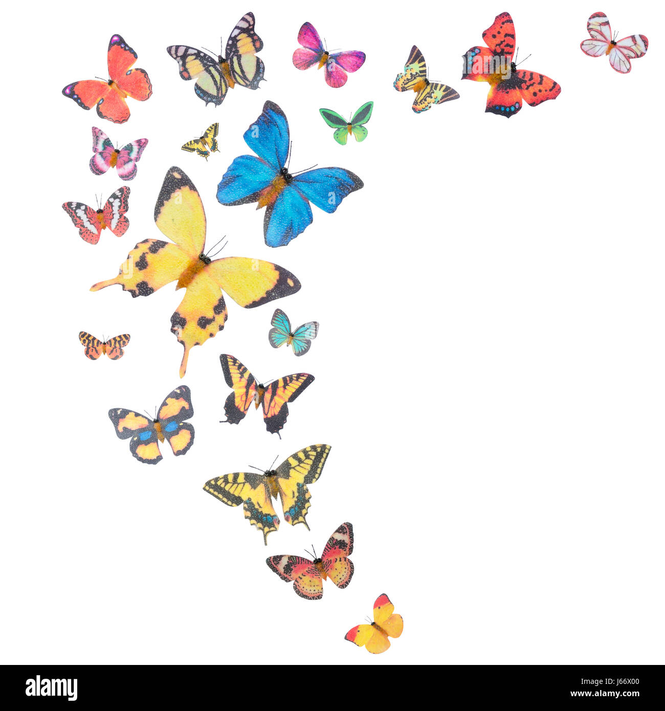 Background with colorful butterflies isolated on white background Stock ...