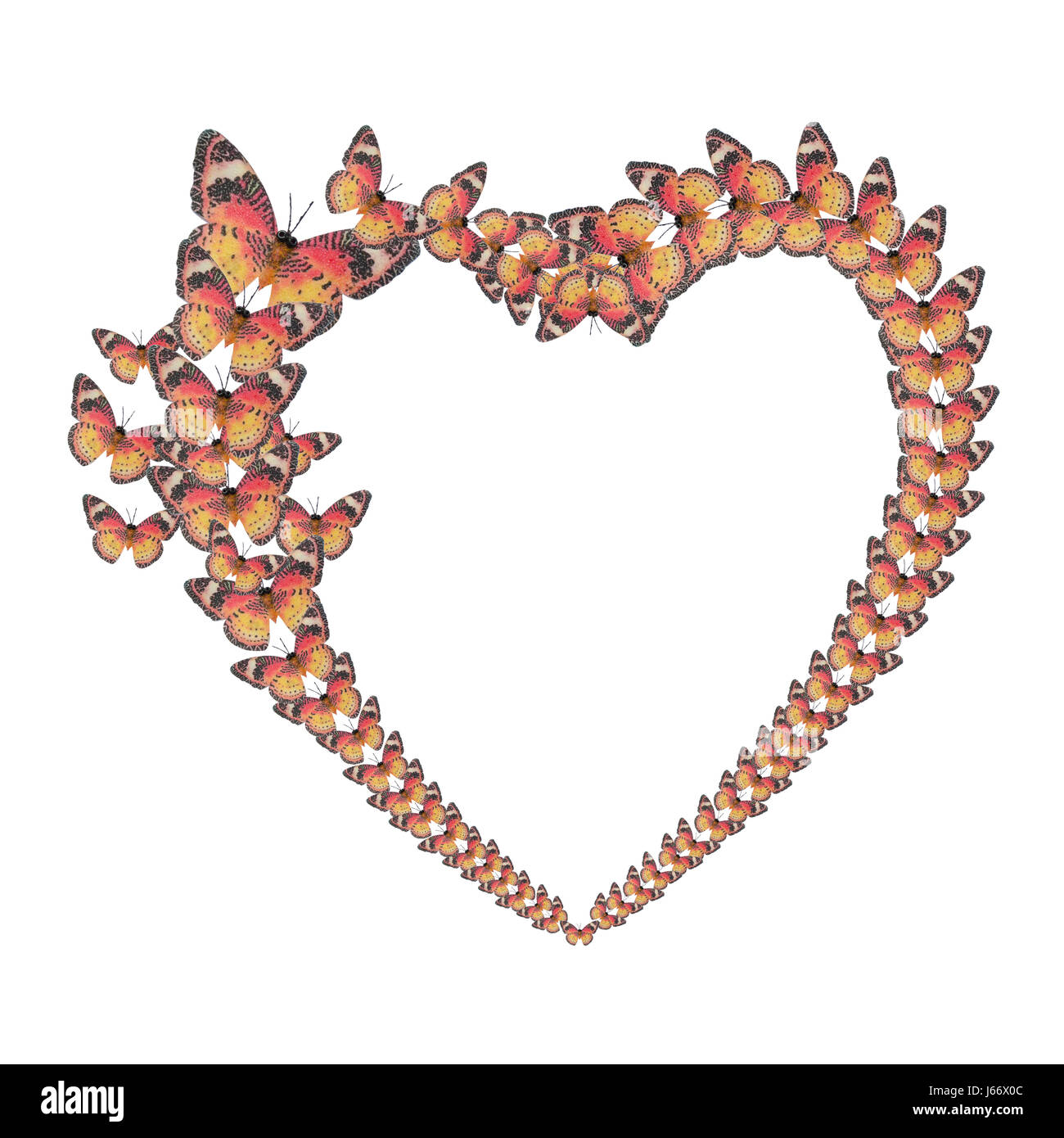 butterfly heart sharp frame isolated on white background Stock Photo ...