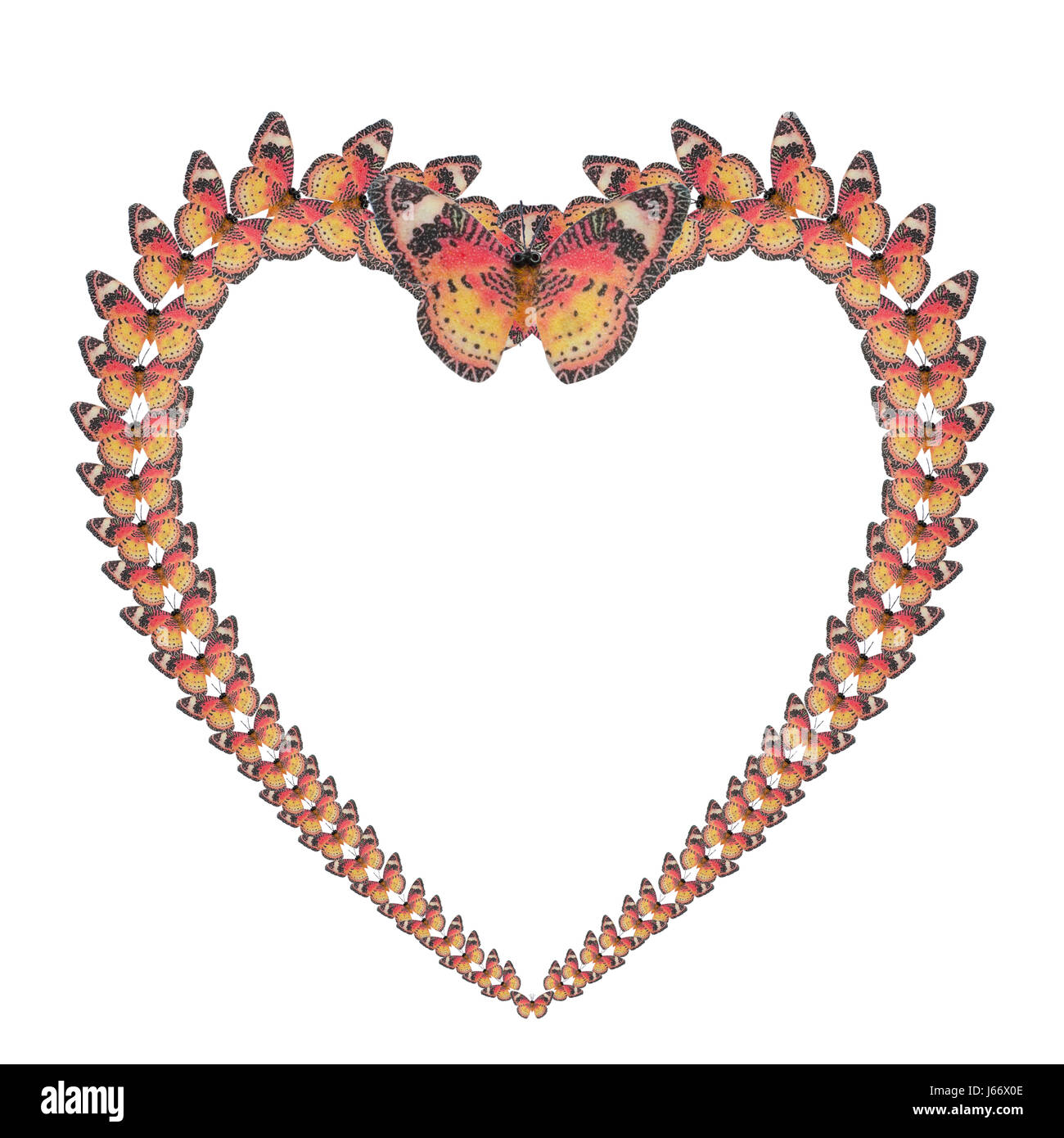 butterfly heart sharp frame isolated on white background Stock Photo ...
