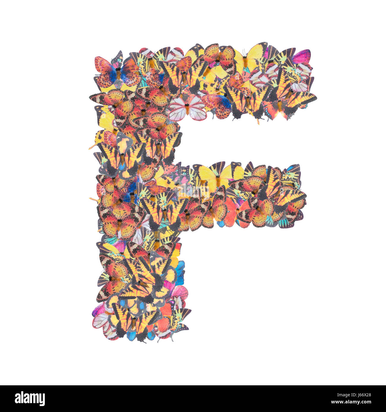 Letter F alphabet with butterfly ABC concept type as logo isolated on ...