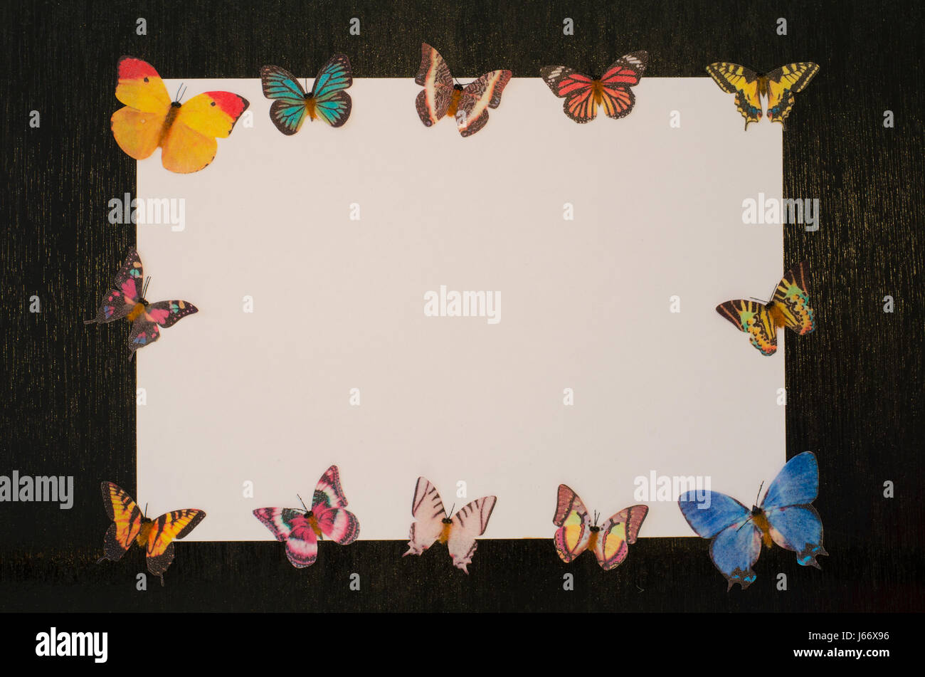 Butterfly decoration on the black wooden background, still life ...