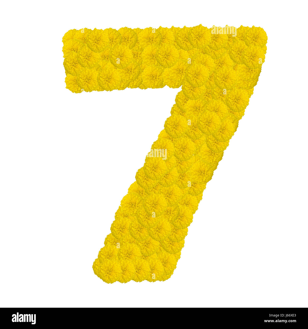 Number 7 made from marigold flower isolated on white background Stock ...
