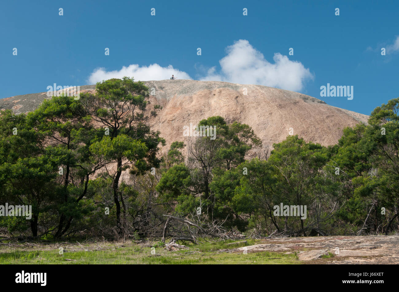 Big Rock granite outcrop at You Yangs Regional Park, Victoria ...