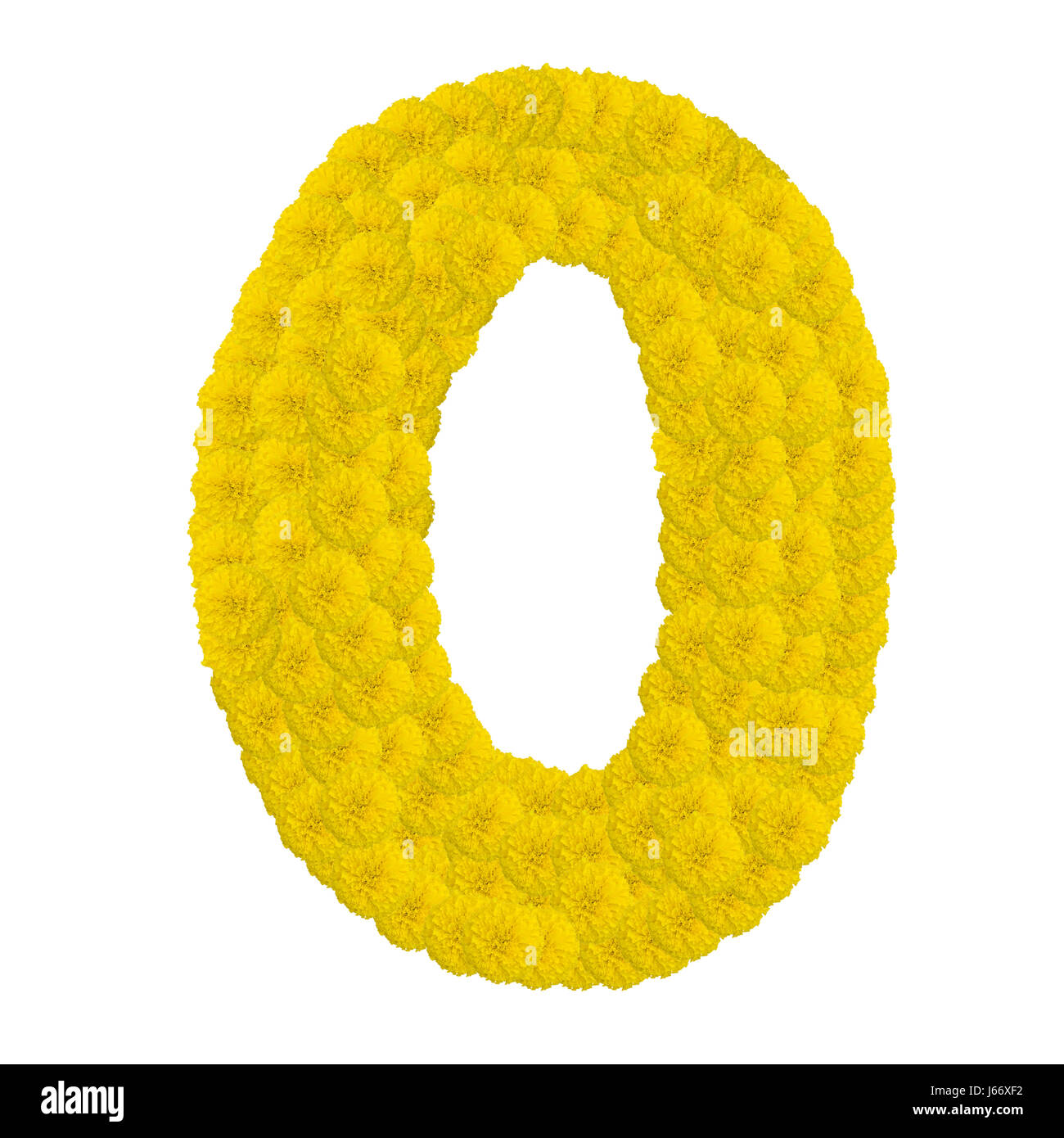 Number 0 made from marigold flower isolated on white background Stock ...